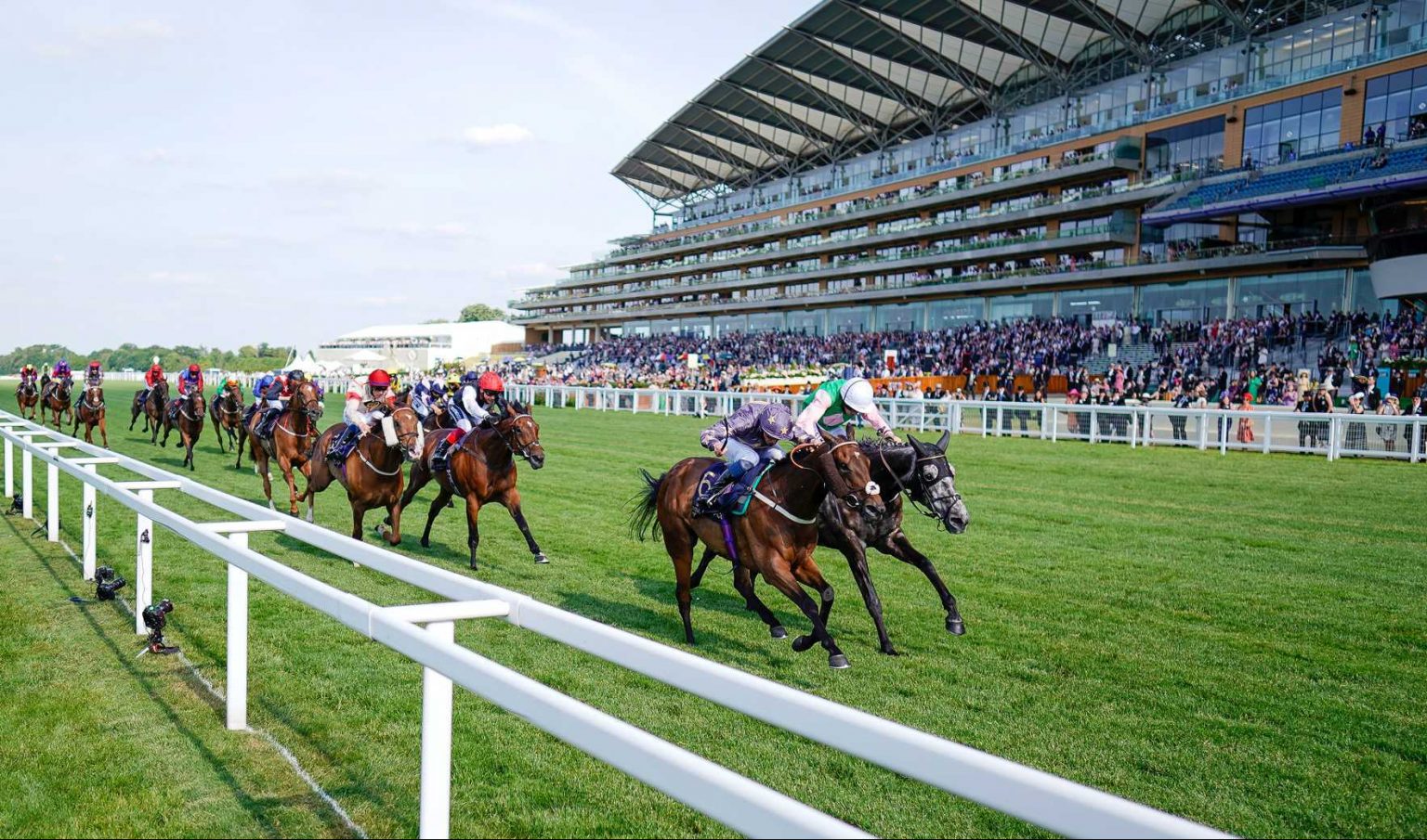 Ascot Racecourse awards digital contract to Little Dot Sport | Advanced ...
