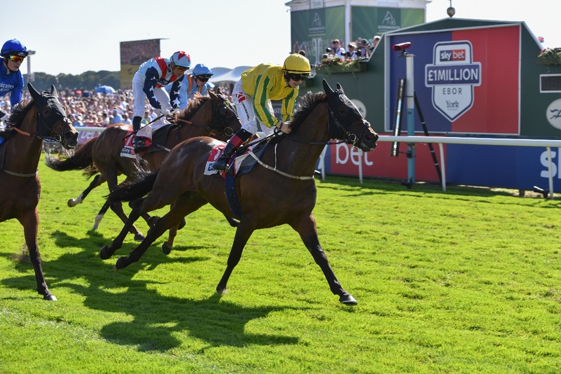 Record broadcasters for Sky Bet Ebor Festival | Advanced Television